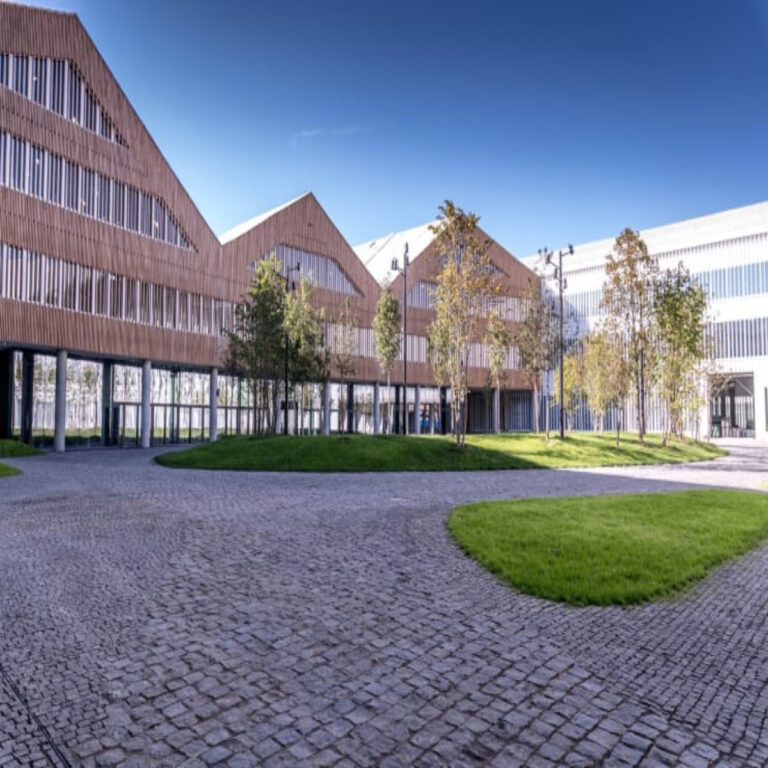 Skolkovo Institute of Science and Technology Scholarship 2023