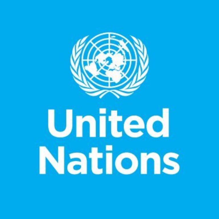 United Nations Youth Champions for Disarmament Training Programme
