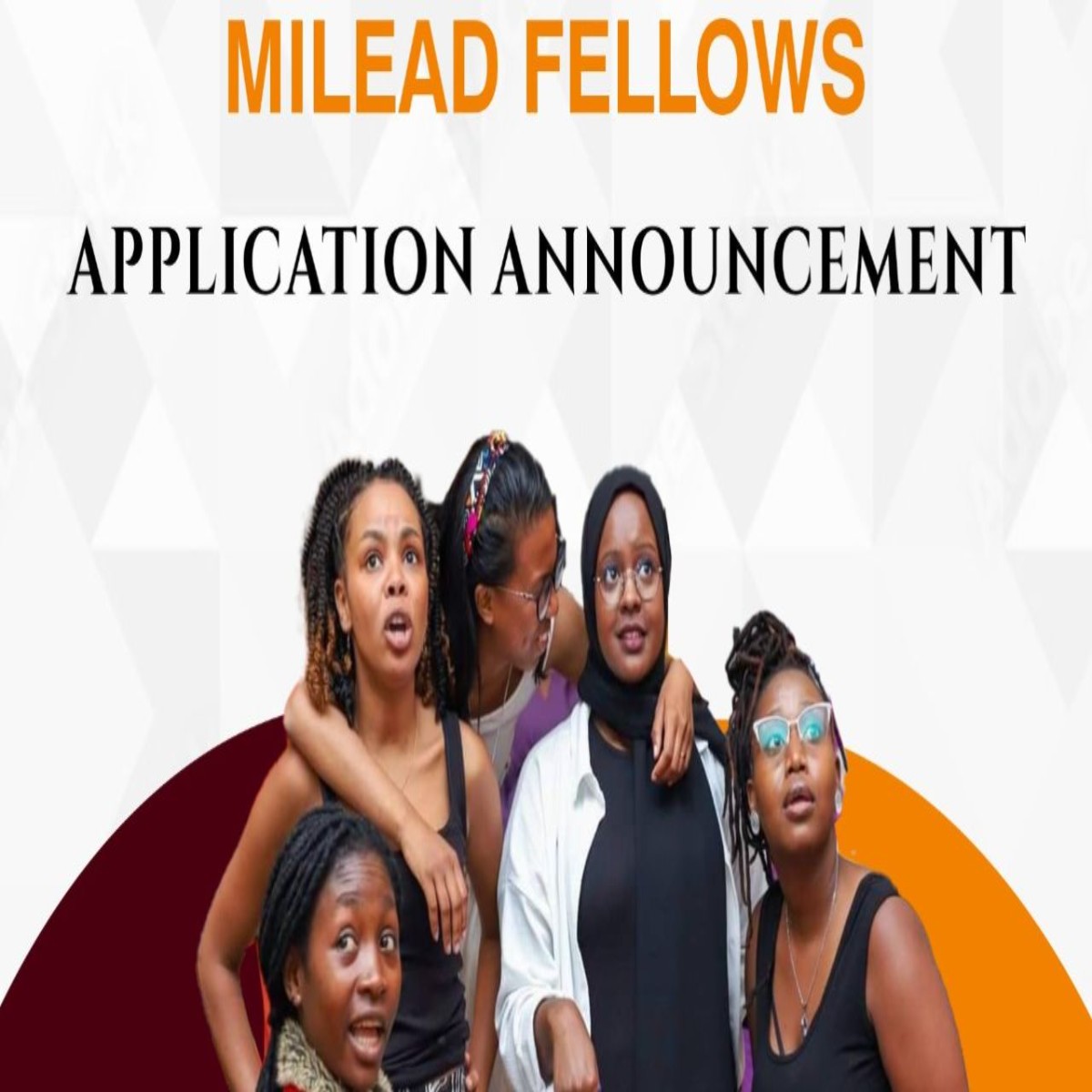 MILEAD Fellows Program 2024 for Young African Leaders